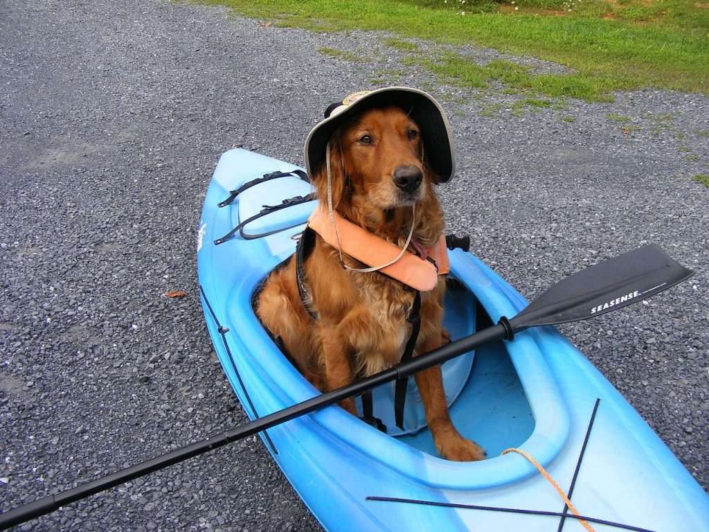 8 Best Kayaks for Dogs – Top Rated and Reviewed (Spring 2022)